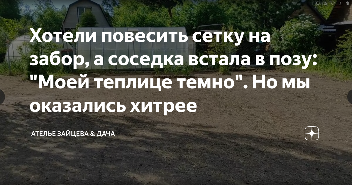 Хотели повесить сетку на забор, а соседка встала в позу: "Моей теплице ...
