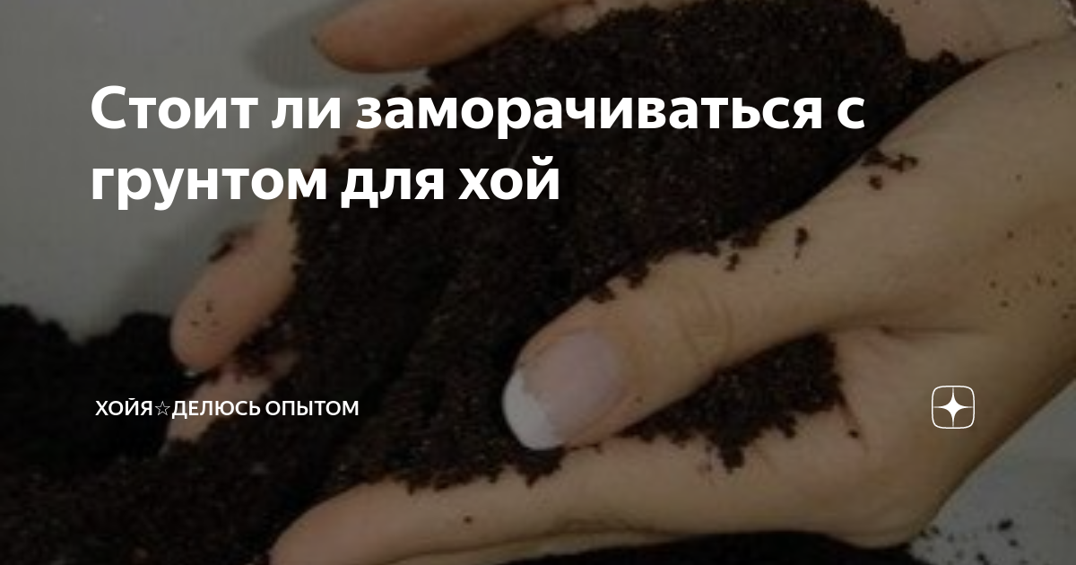 Стоит ли заморачиваться с грунтом для хой | ХоЙя и другие☆Делюсь опытом ...