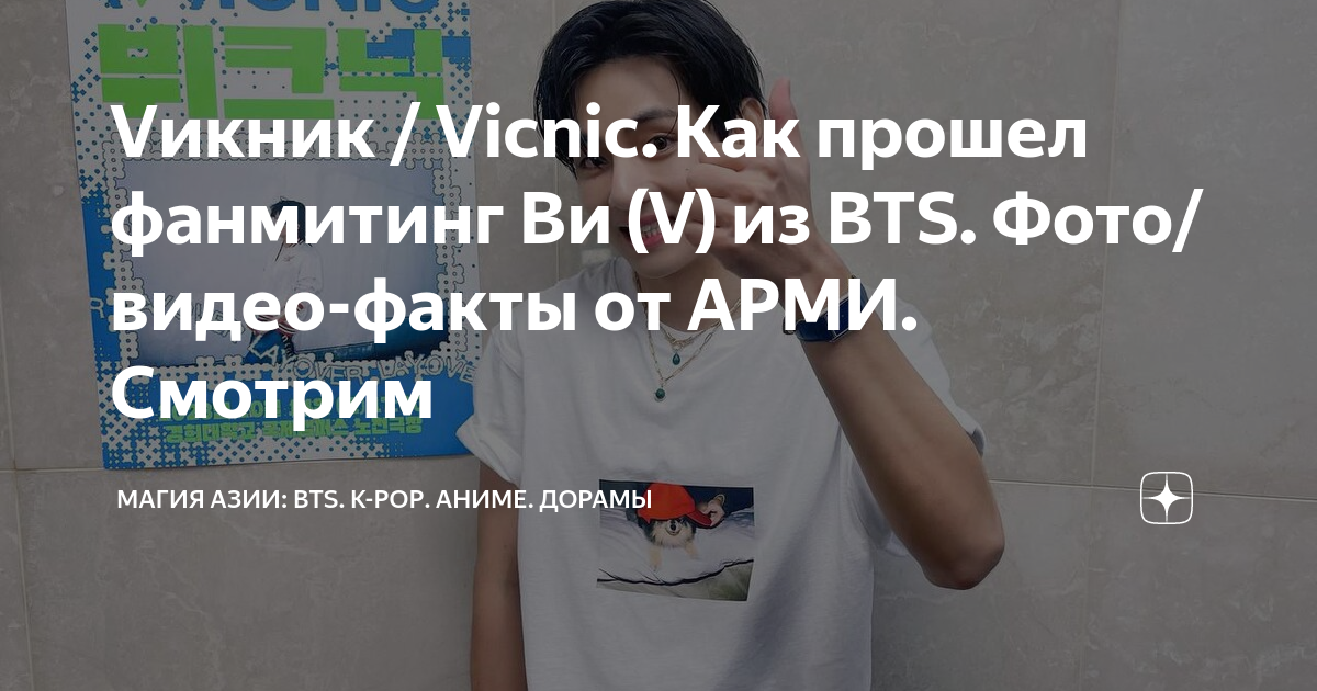 Vикник / Vicnic. Как прошел фанмитинг Ви (V) из BTS. Фото/видео-факты ...