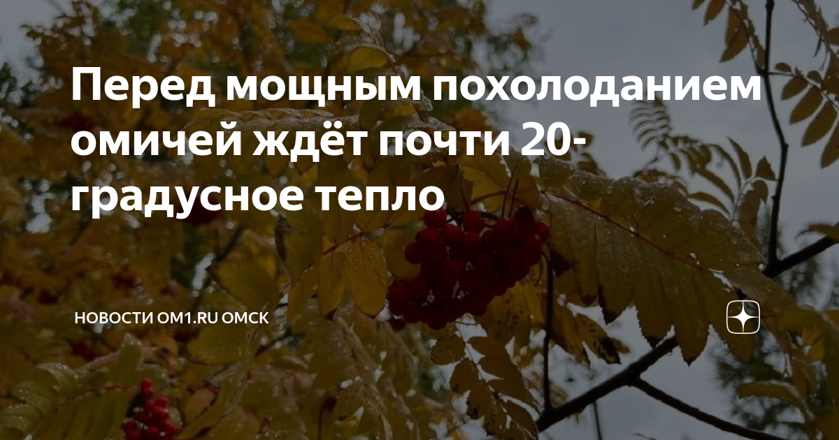 Перед мощным похолоданием омичей ждёт почти 20-градусное тепло | Новости Om1 Омск | Дзен