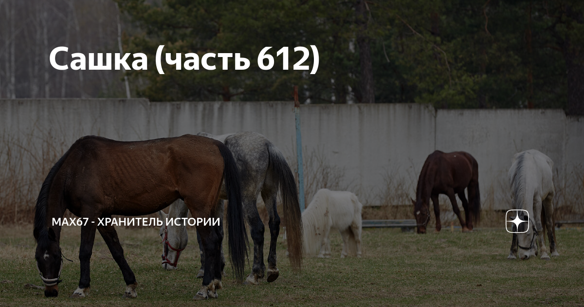 Сашка (часть 612) | MAX67 - Хранитель Истории | Дзен