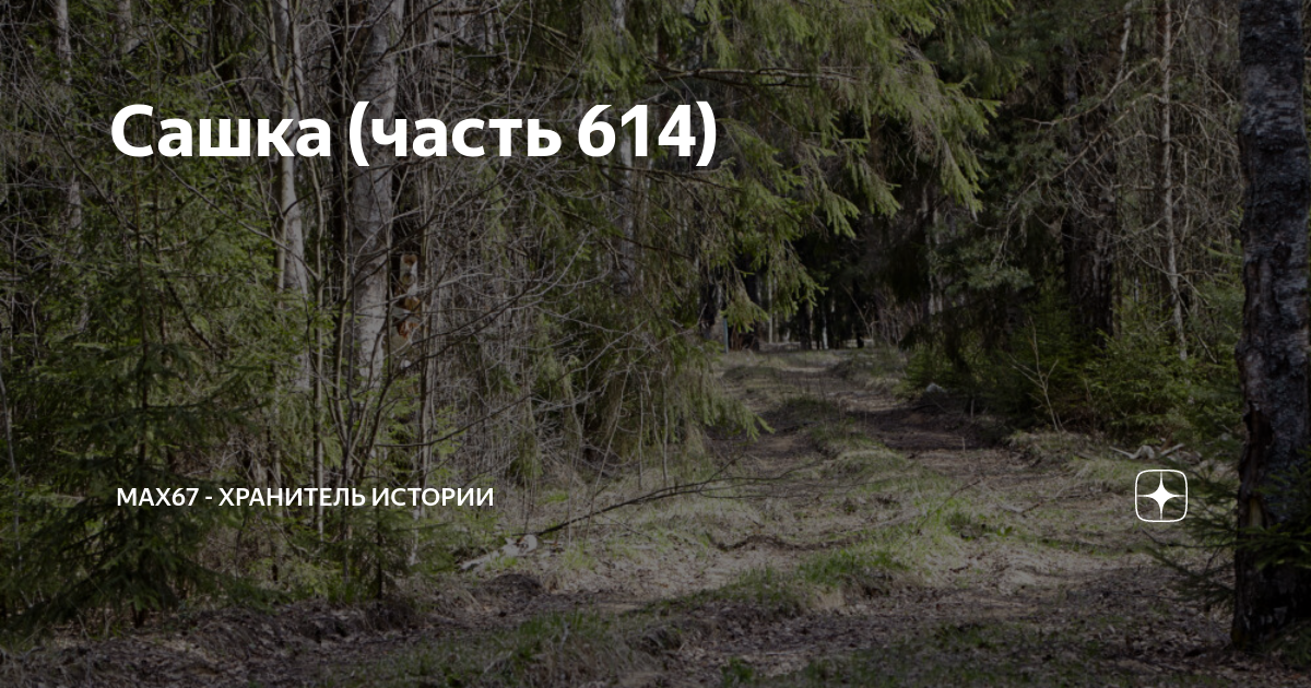 Сашка (часть 614) | MAX67 - Хранитель Истории | Дзен
