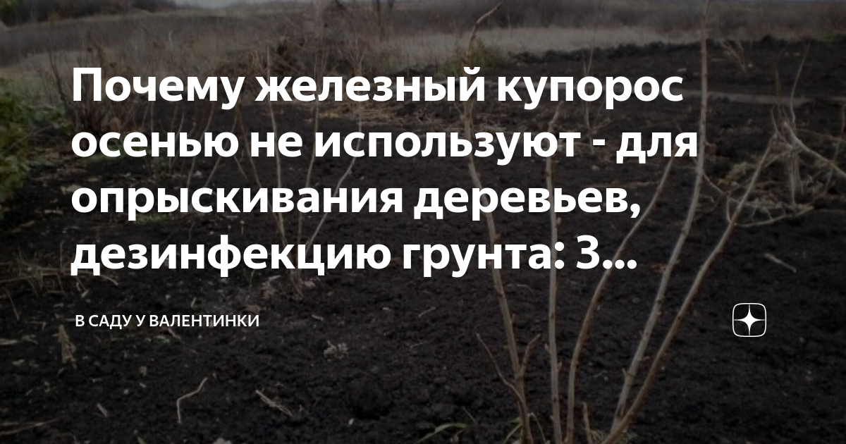Почему железный купорос осенью не используют - для опрыскивания ...