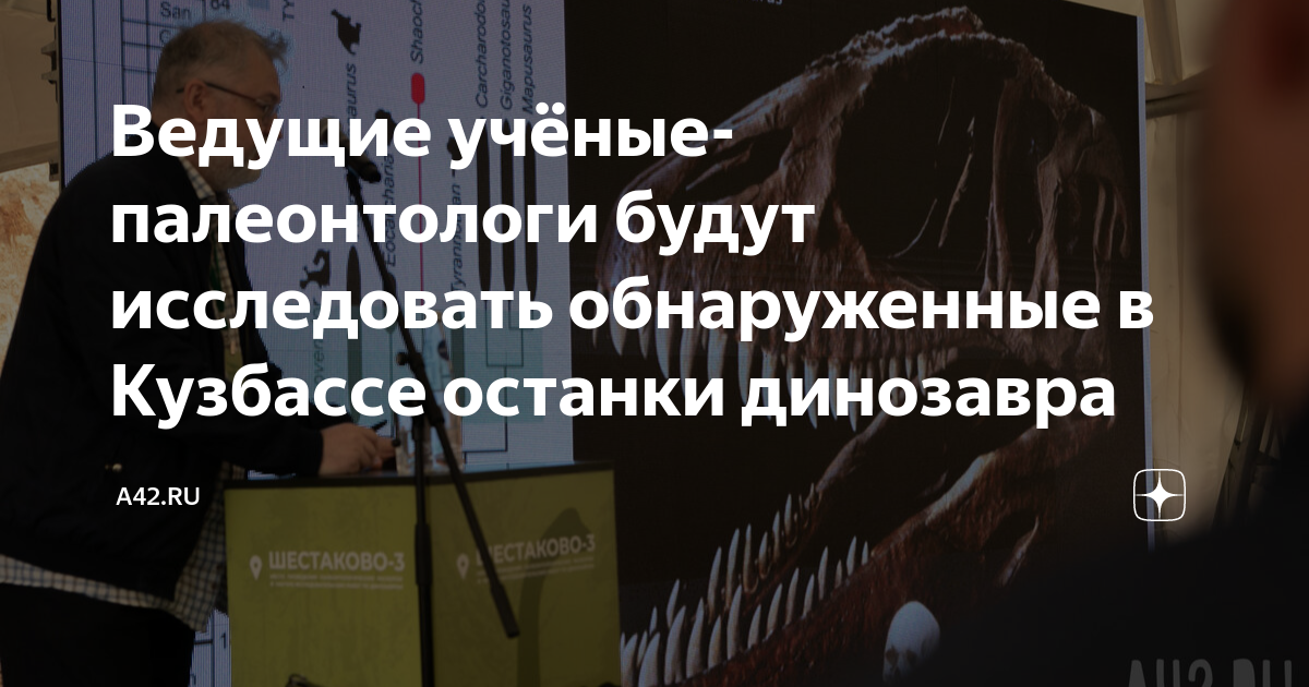 Ведущие учёные-палеонтологи будут исследовать обнаруженные в Кузбассе останки динозавра | A42.RU ...