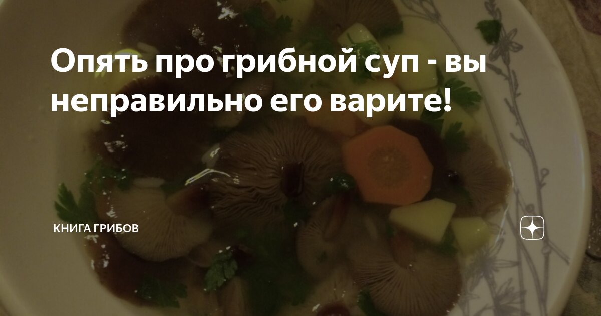 Опять про грибной суп вы неправильно его варите Книга Грибов Дзен