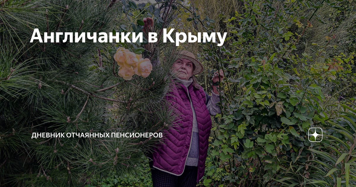 Англичанки в Крыму | Дневник отчаянных пенсионеров | Дзен