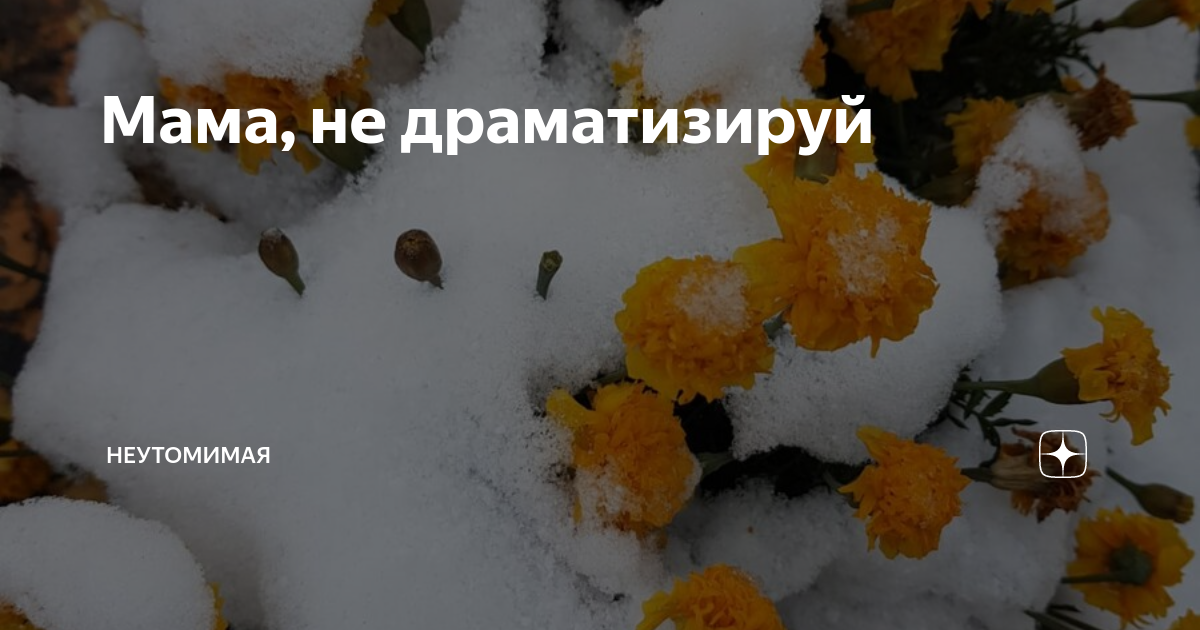 Мама, не драматизируй | Неутомимая | Дзен