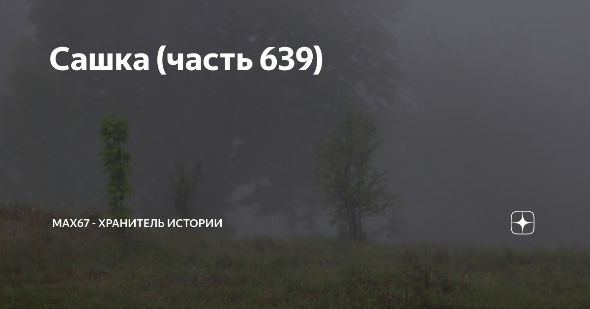 Сашка (часть 639) | MAX67 - Хранитель Истории | Дзен