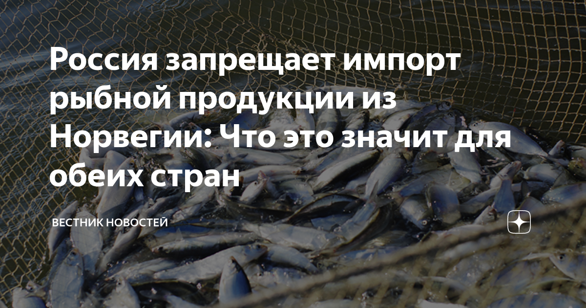 Россия запрещает импорт рыбной продукции из Норвегии: Что это значит ...