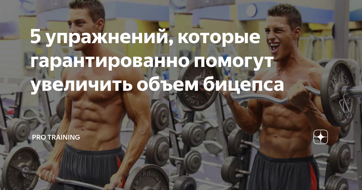 5 упражнений, которые гарантированно помогут увеличить объем бицепса ...