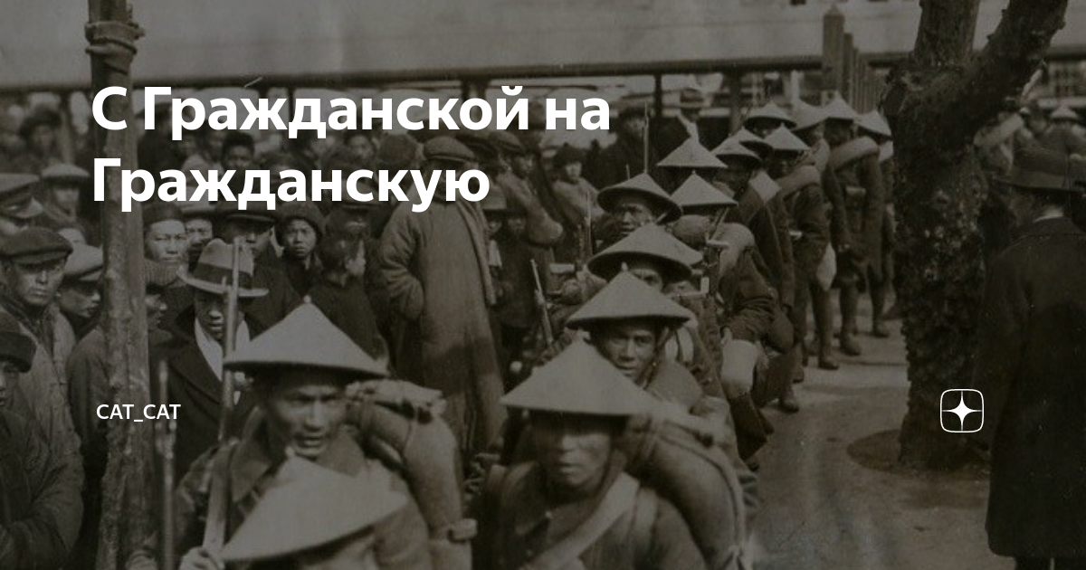 С Гражданской на Гражданскую | Cat_Cat | Дзен