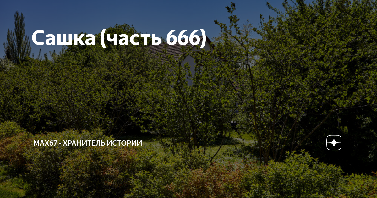 Сашка (часть 666) | MAX67 - Хранитель Истории | Дзен