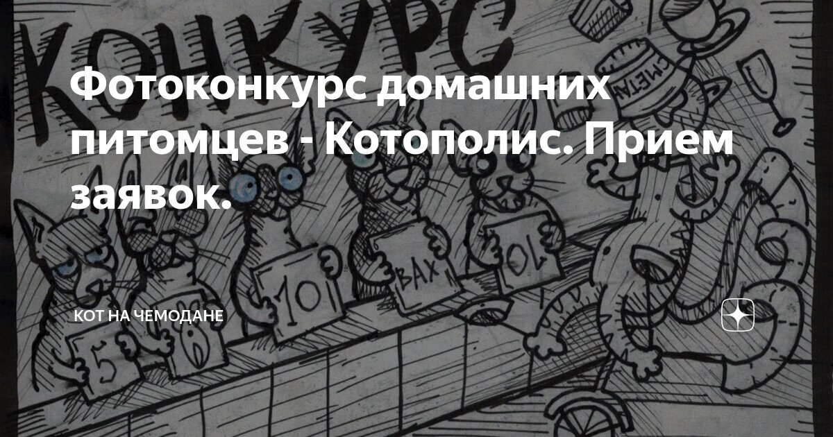 Фотоконкурс домашних питомцев - Котополис. Прием заявок. | Кот на ...