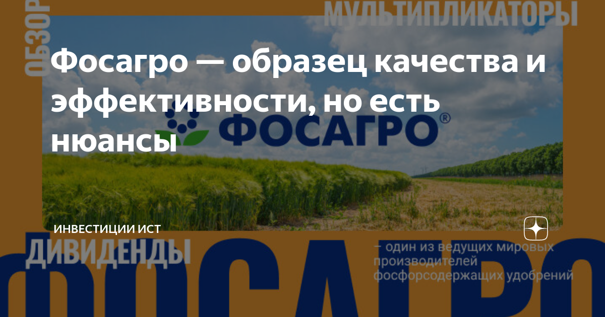 Фосагро — образец качества и эффективности, но есть нюансы | Инвестиции ...