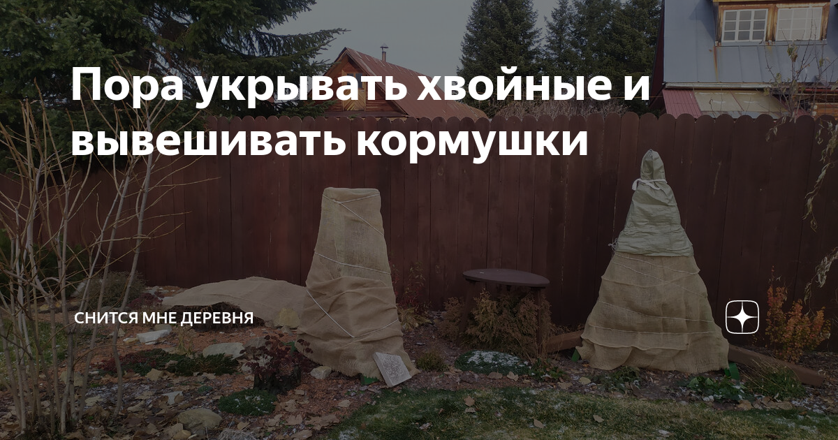 Пора укрывать хвойные и вывешивать кормушки Снится мне деревня Дзен