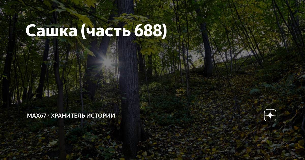 Сашка (часть 688) | MAX67 - Хранитель Истории | Дзен