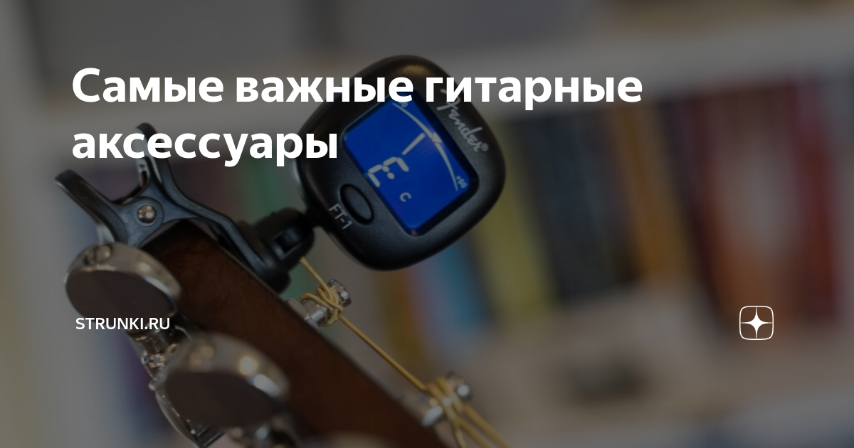 Самые важные гитарные аксессуары | Strunki.ru | Дзен