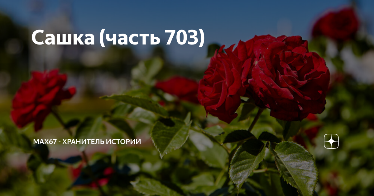 Сашка (часть 703) | MAX67 - Хранитель Истории | Дзен