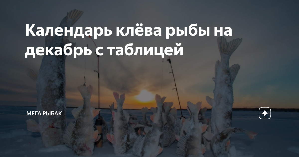 Календарь клёва рыбы на декабрь с таблицей | Мега Рыбак | Дзен