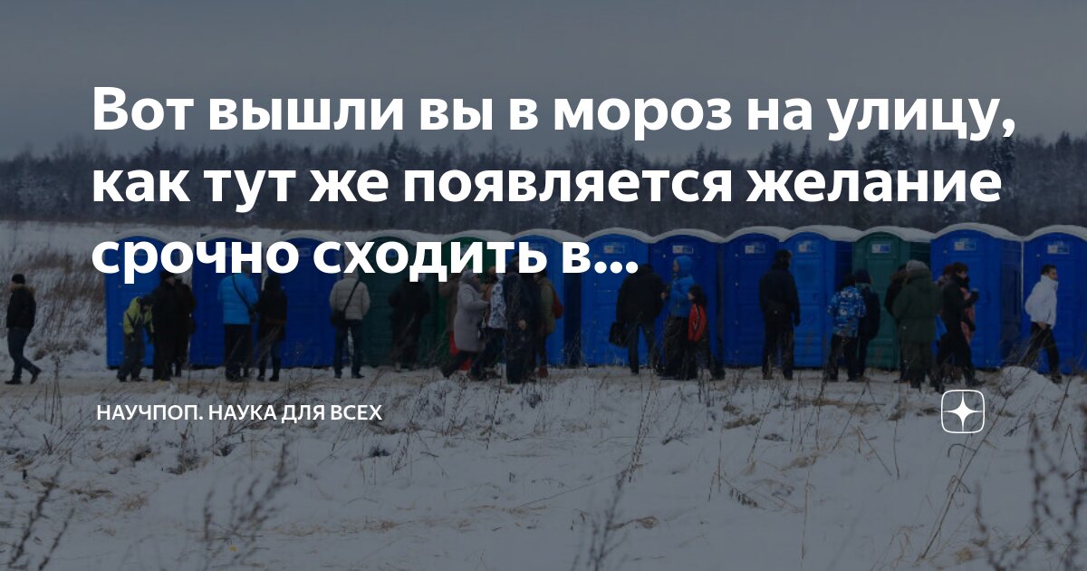 Вот вышли вы в мороз на улицу, как тут же появляется желание срочно ...
