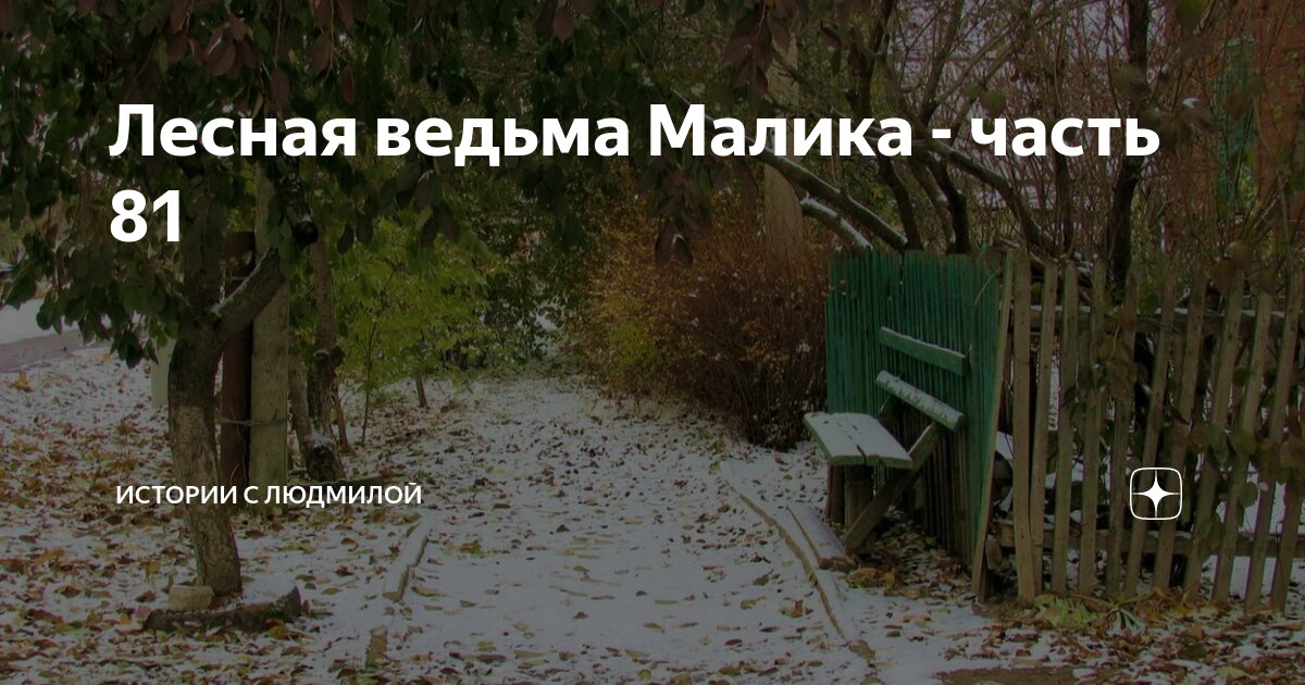 Лесная ведьма Малика - часть 81 | Истории с Людмилой | Дзен