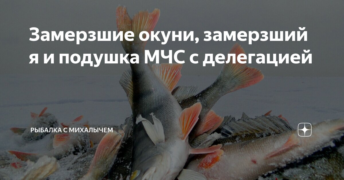 Замерзшие окуни, замерзший я и подушка МЧС с делегацией | РЫБАЛКА С ...