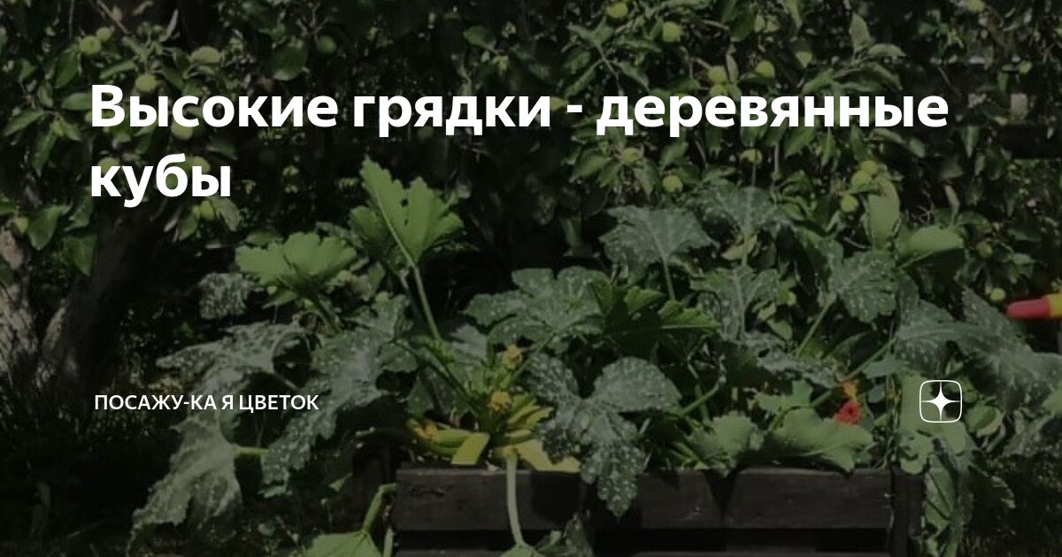 Высокие грядки - деревянные кубы | Посажу-ка я цветок! | Дзен