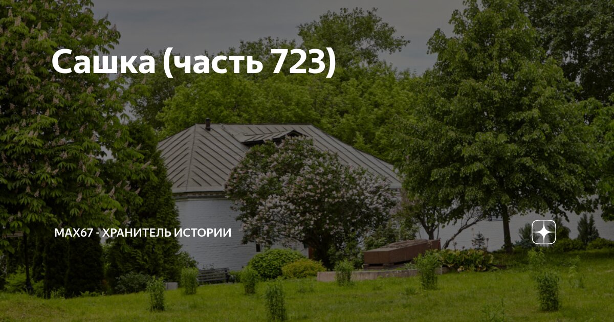 Сашка (часть 723) | MAX67 - Хранитель Истории | Дзен