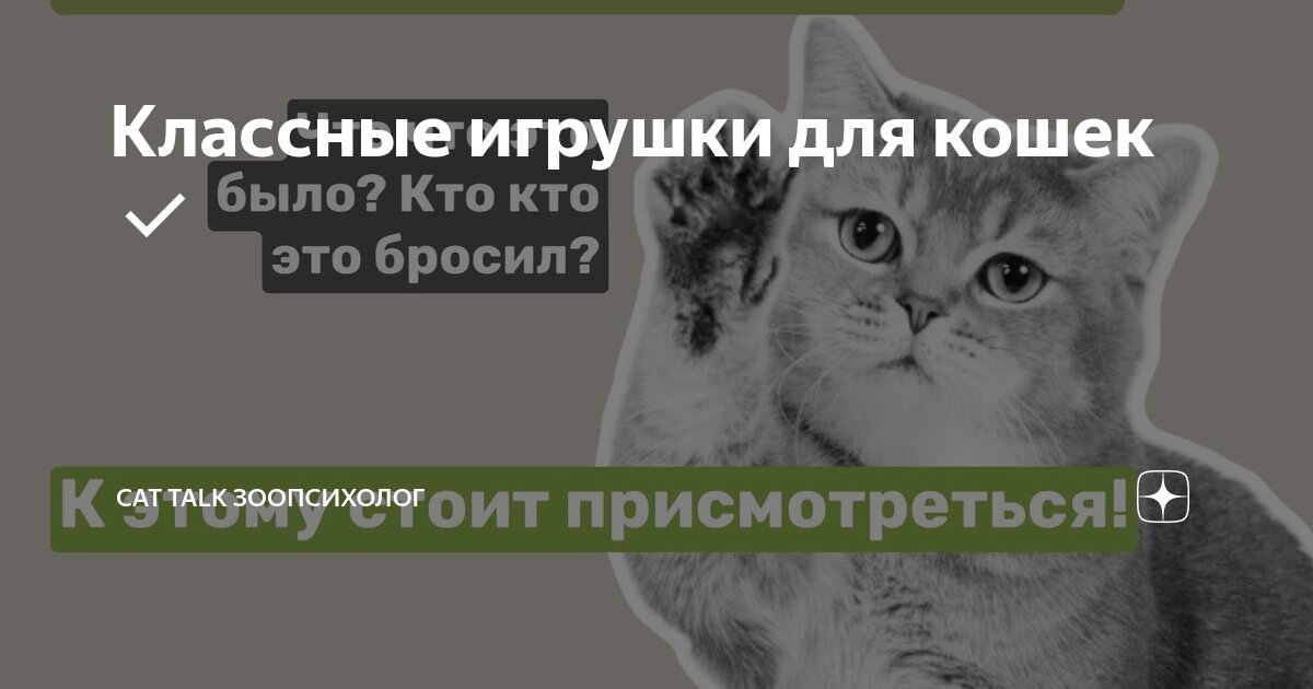 Классные игрушки для кошек | Cat talk зоопсихолог | Дзен
