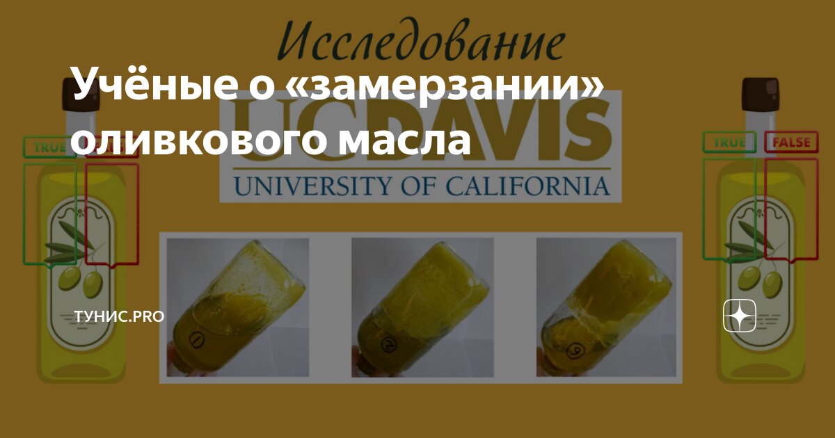 Учёные о «замерзании» оливкового масла | ТУНИС.PRO | Дзен