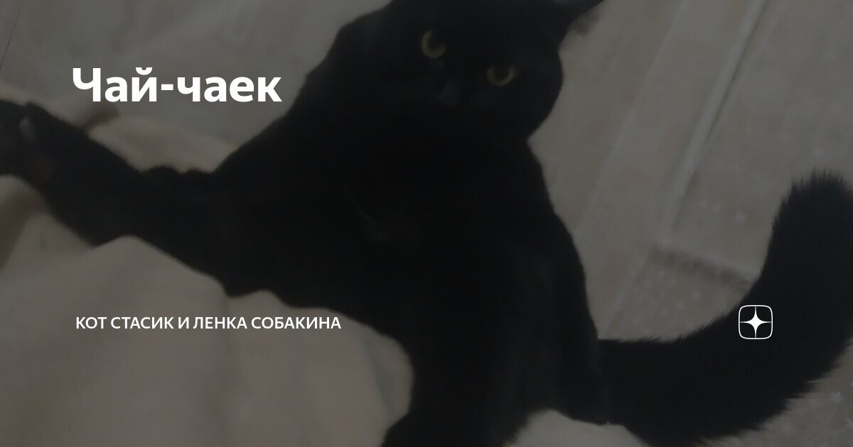 Чай-чаек | Пенсионерка Собакина и ее кот Стасик. | Дзен