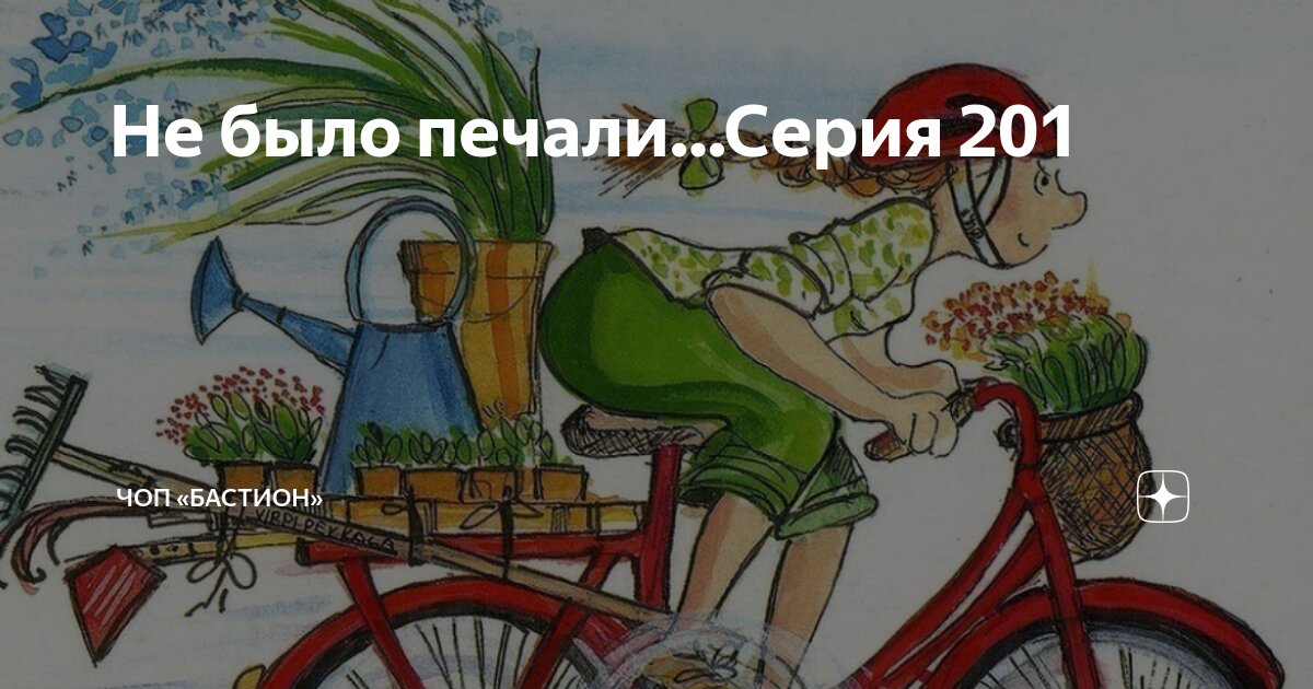 Не было печали…Серия 201 | ЧОП «Бастион» | Дзен