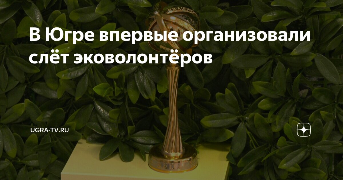 В Югре впервые организовали слёт эковолонтёров | UGRA-TV.RU | Дзен