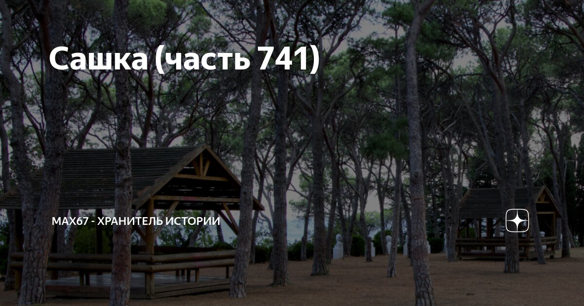 Сашка (часть 741) | MAX67 - Хранитель Истории | Дзен