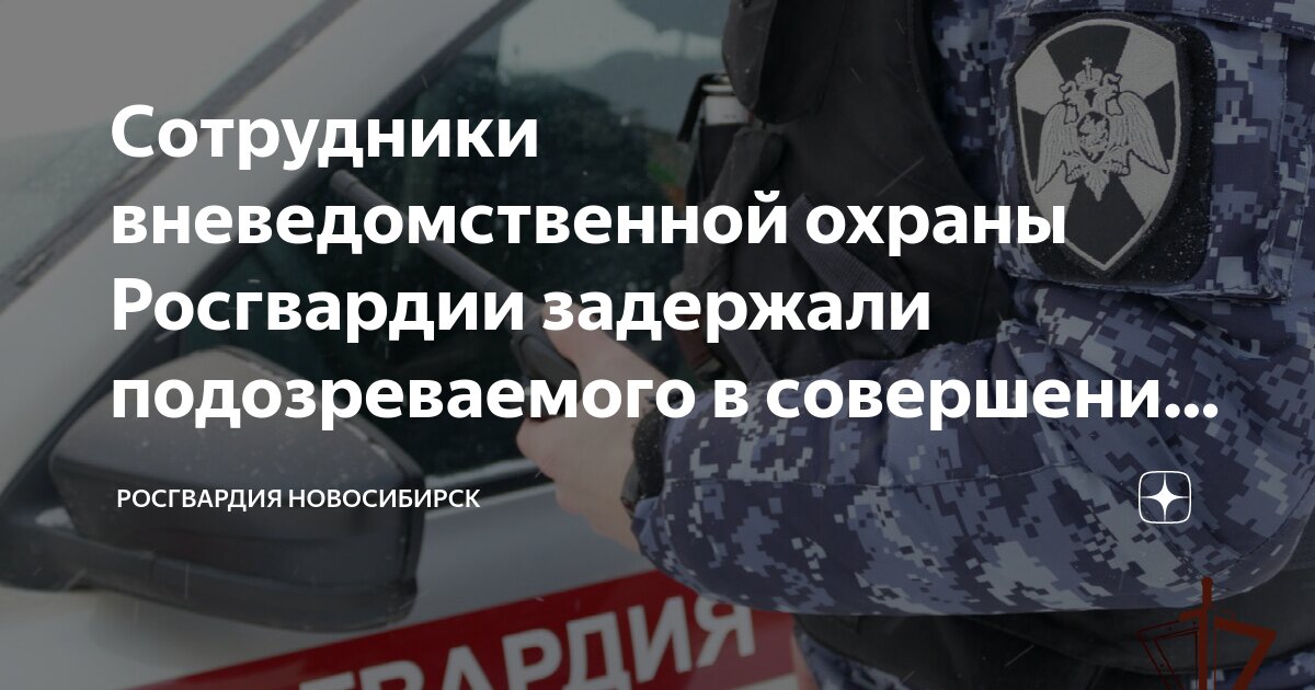 Сотрудники вневедомственной охраны Росгвардии задержали подозреваемого ...