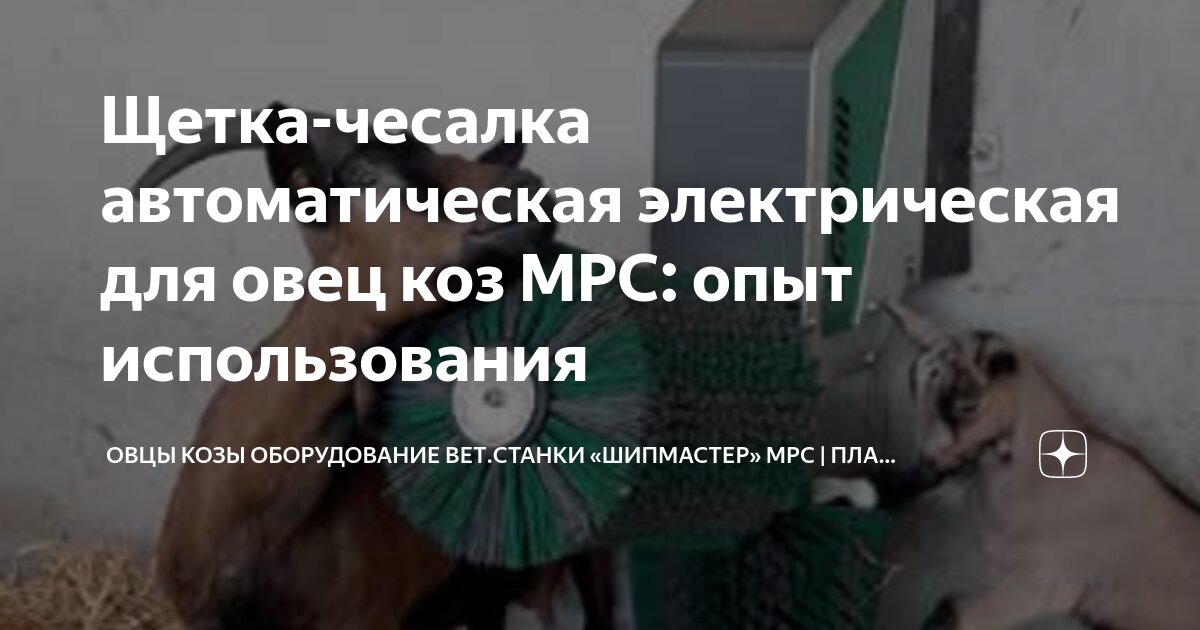 Щетка-чесалка автоматическая электрическая для овец коз МРС: опыт ...