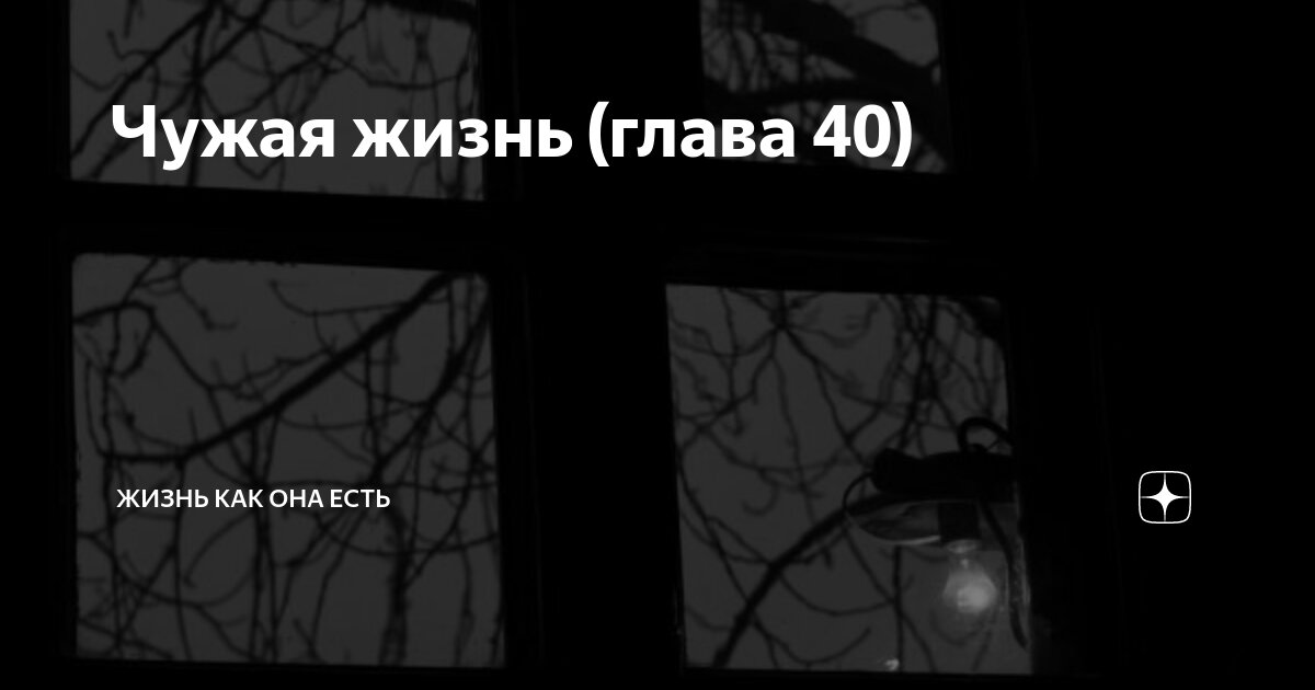 Чужая жизнь (глава 40) | Жизнь как она есть | Дзен