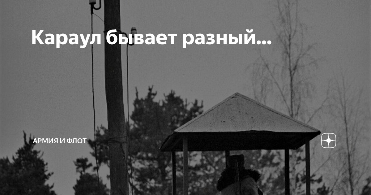 Караул бывает разный... | Армия и Флот | Дзен
