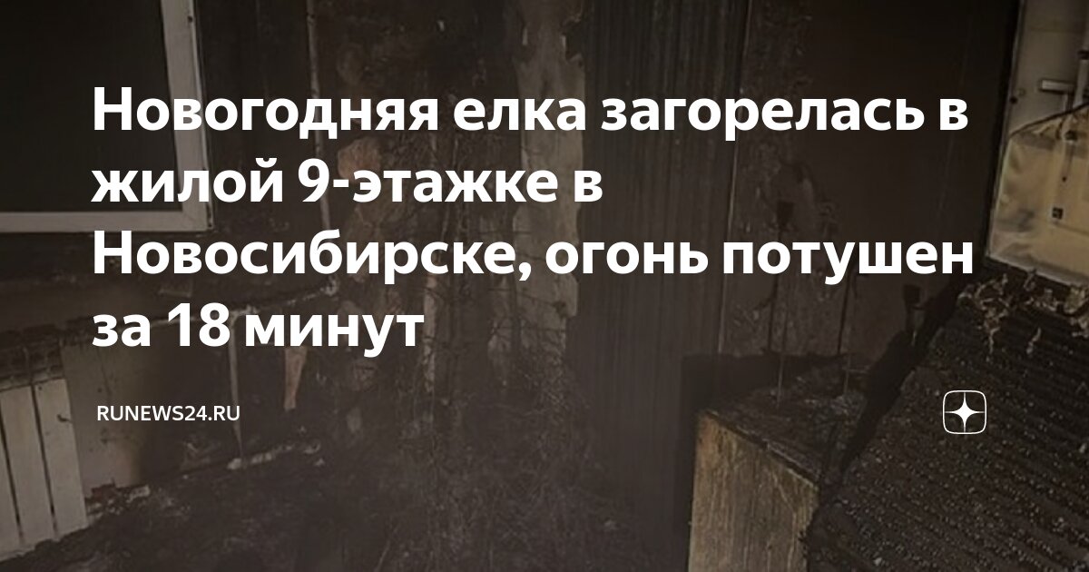 Новогодняя елка загорелась в жилой 9-этажке в Новосибирске, огонь потушен за 18 минут | RuNews24 ...