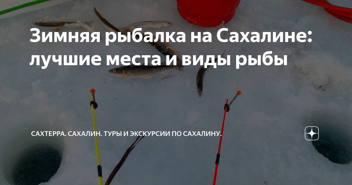 Зимняя рыбалка на Сахалине: лучшие места и виды рыбы | СахТерра ...
