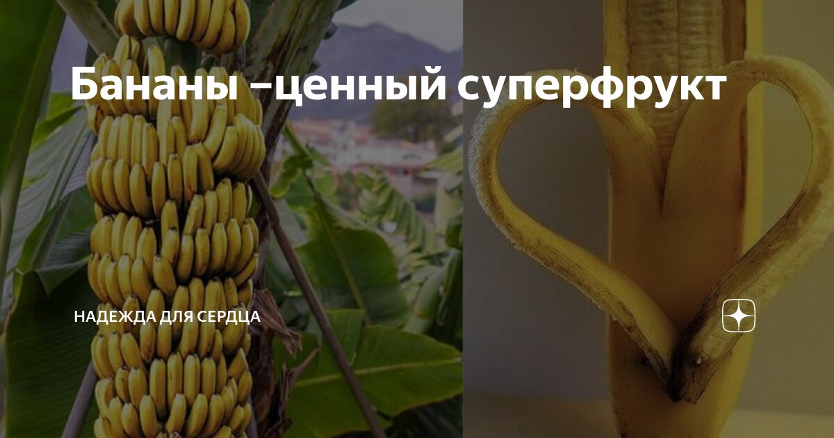 Бананы –ценный суперфрукт | Надежда для сердца | Дзен