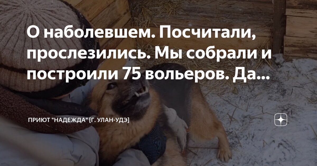 О наболевшем Посчитали прослезились Мы собрали и построили 75