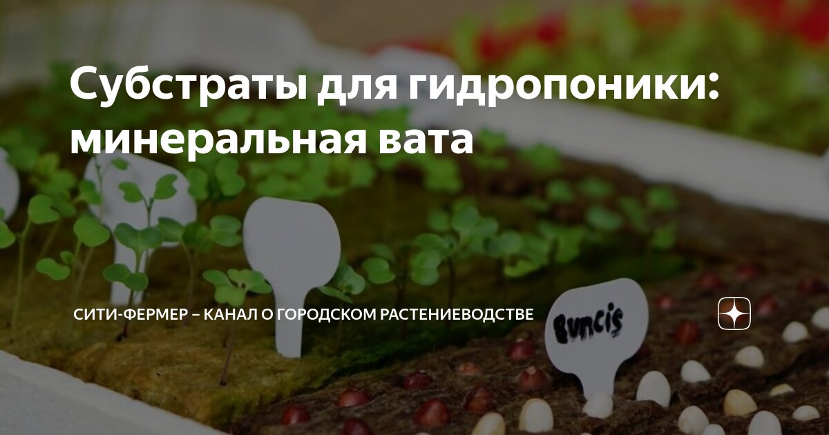 Субстраты для гидропоники: минеральная вата | Сити-Фермер – канал о ...