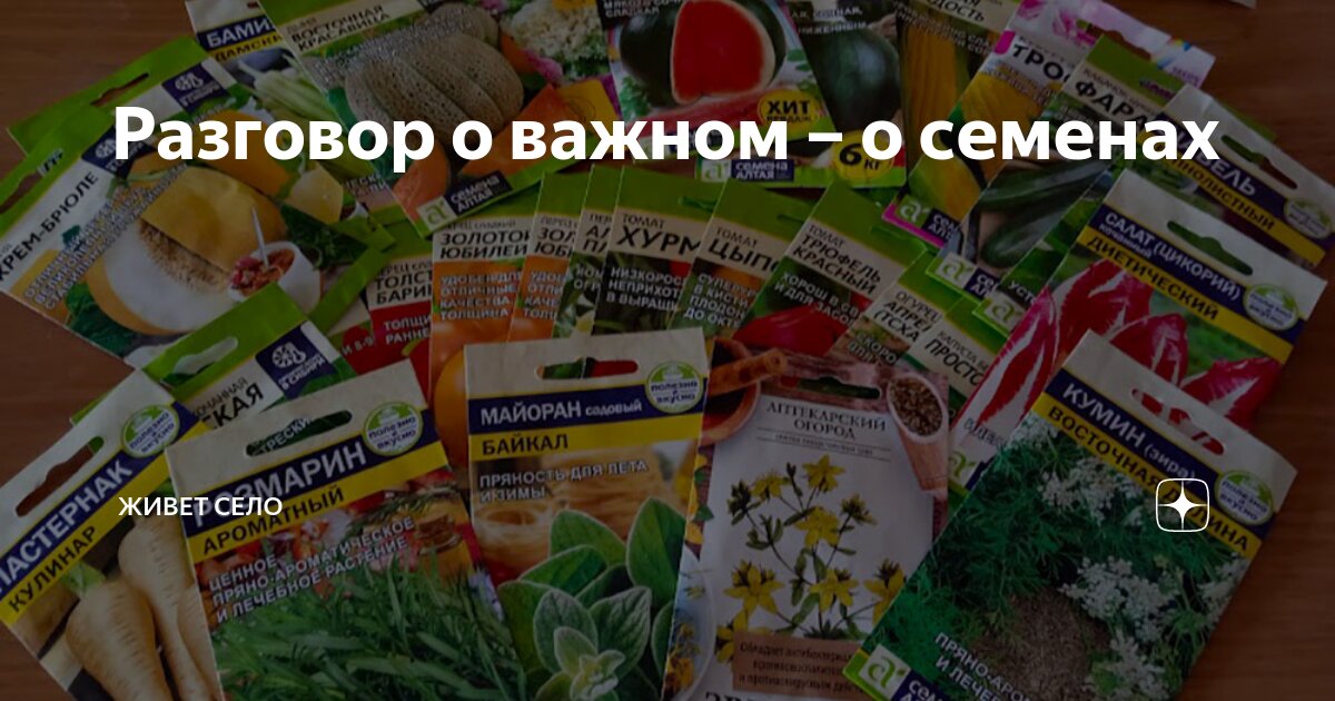Разговор о важном – о семенах | Живет село | Дзен