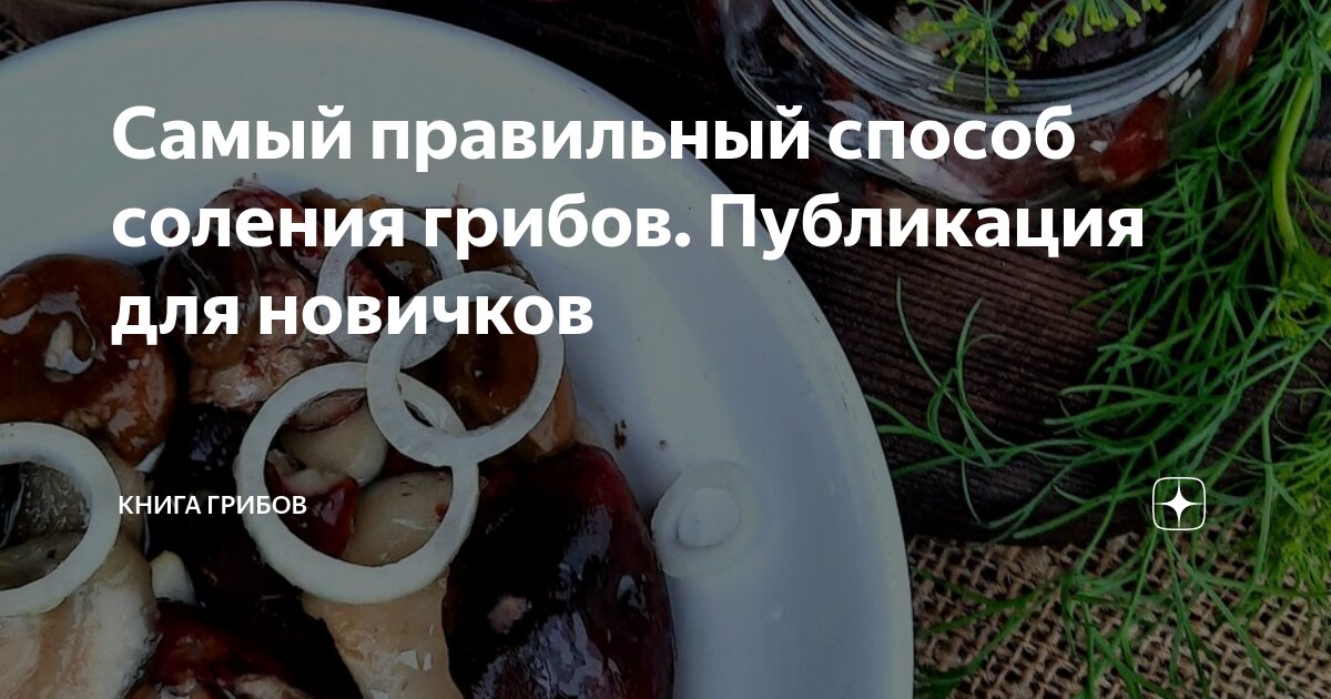 Самый правильный способ соления грибов Публикация для новичков Книга