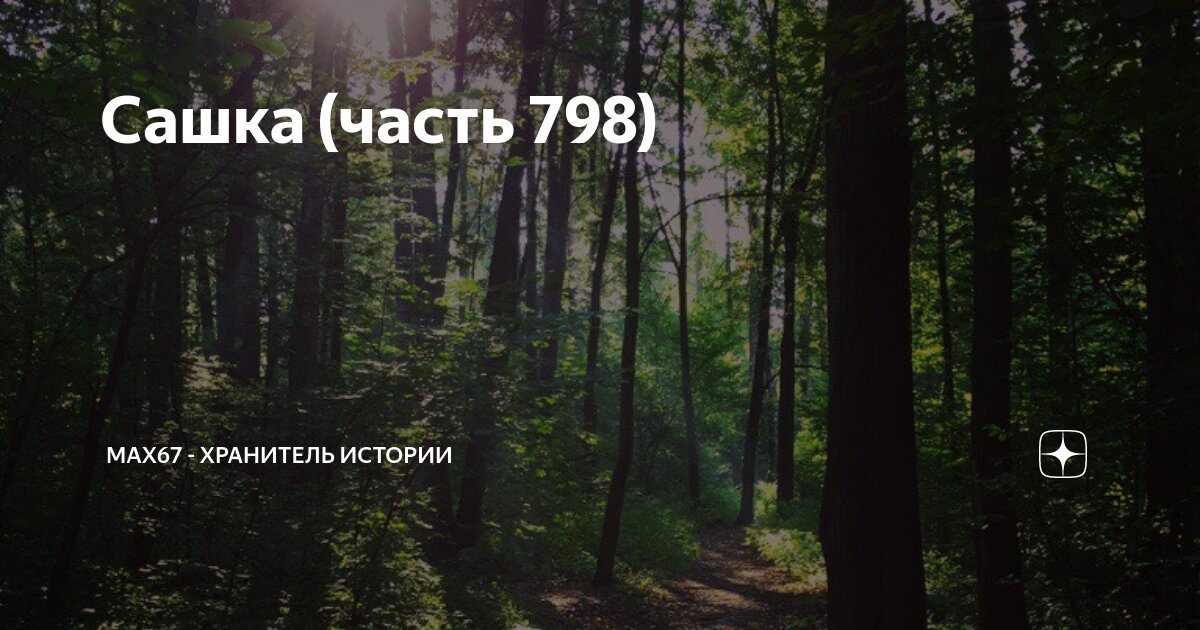 Сашка (часть 798) | MAX67 - Хранитель Истории | Дзен