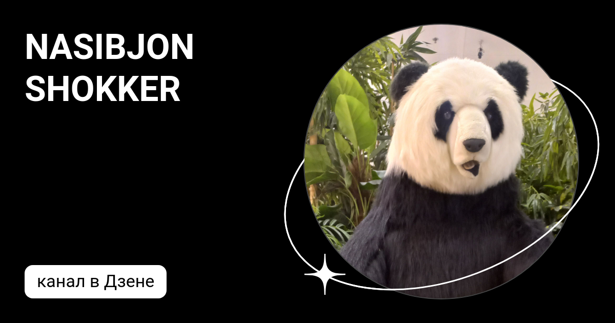 NASIBJON SHOKKER | Дзен