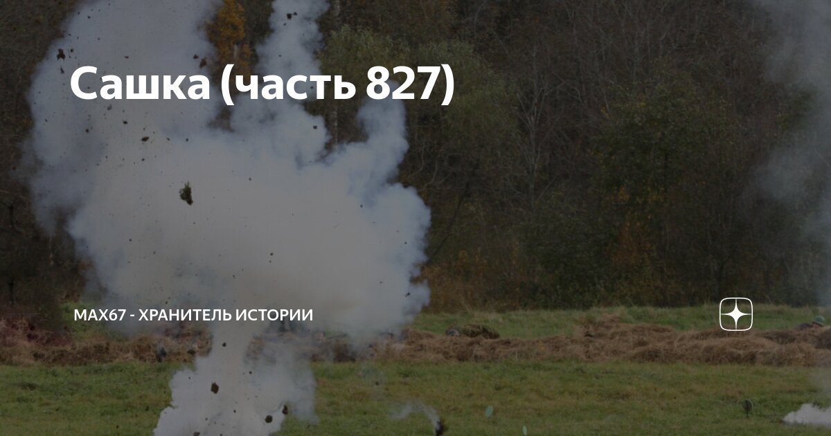 Сашка (часть 827) | MAX67 - Хранитель Истории | Дзен