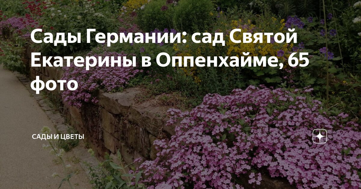Сады Германии: сад Святой Екатерины в Оппенхайме, 65 фото | Сады и ...
