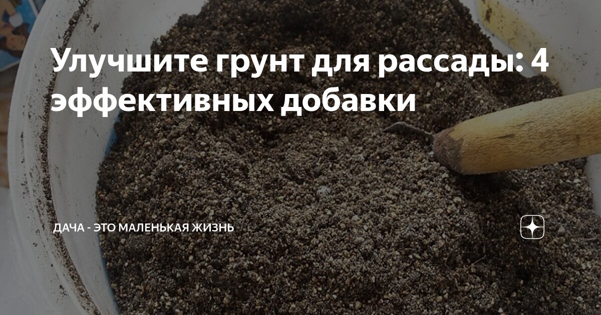 Улучшите грунт для рассады: 4 эффективных добавки | Дача - это ...